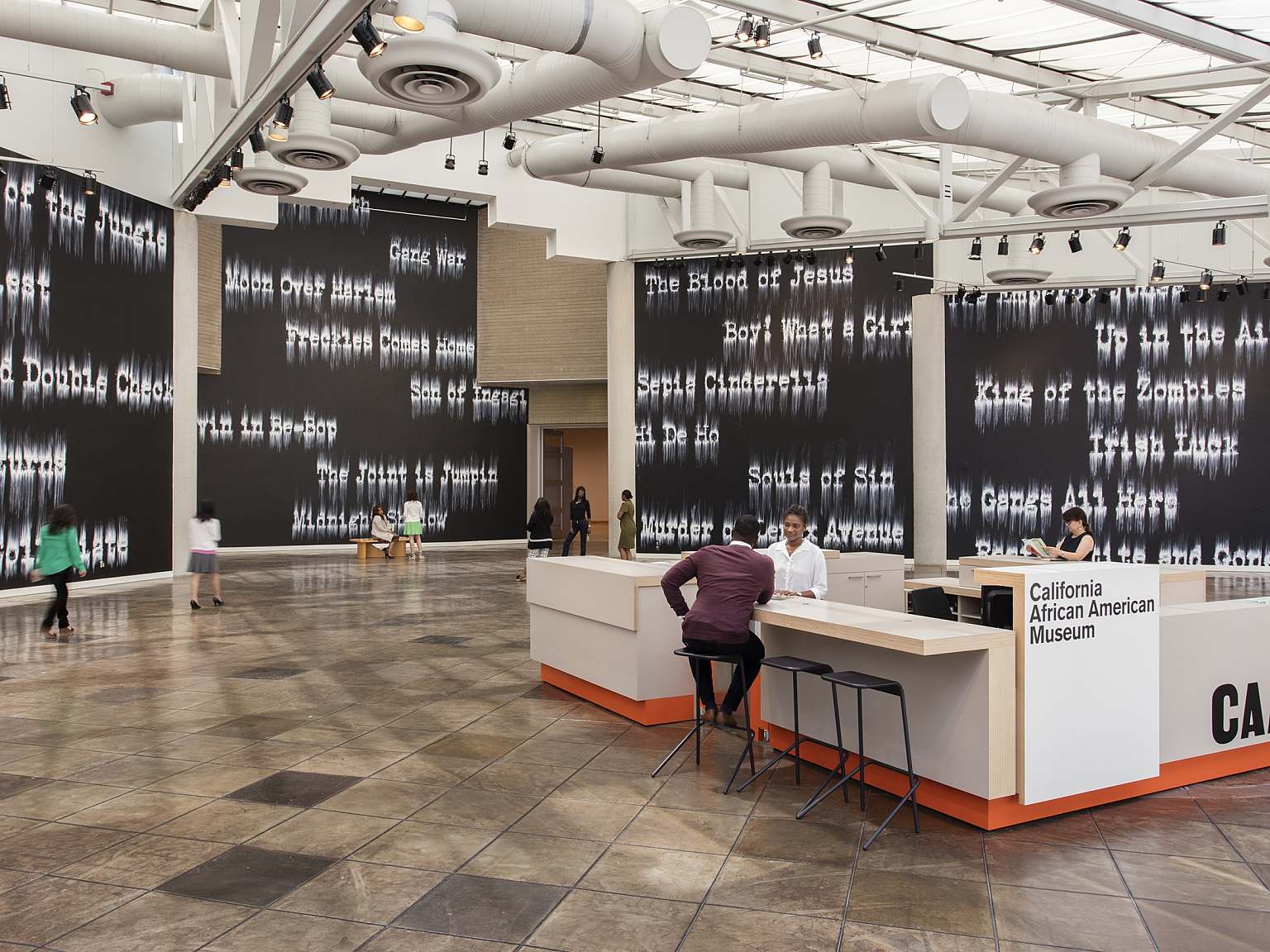 Chu-Gooding on Designing for Diversity